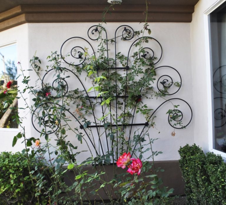 Wrought Iron Garden Trellises Las Vegas - Artistic Iron Works